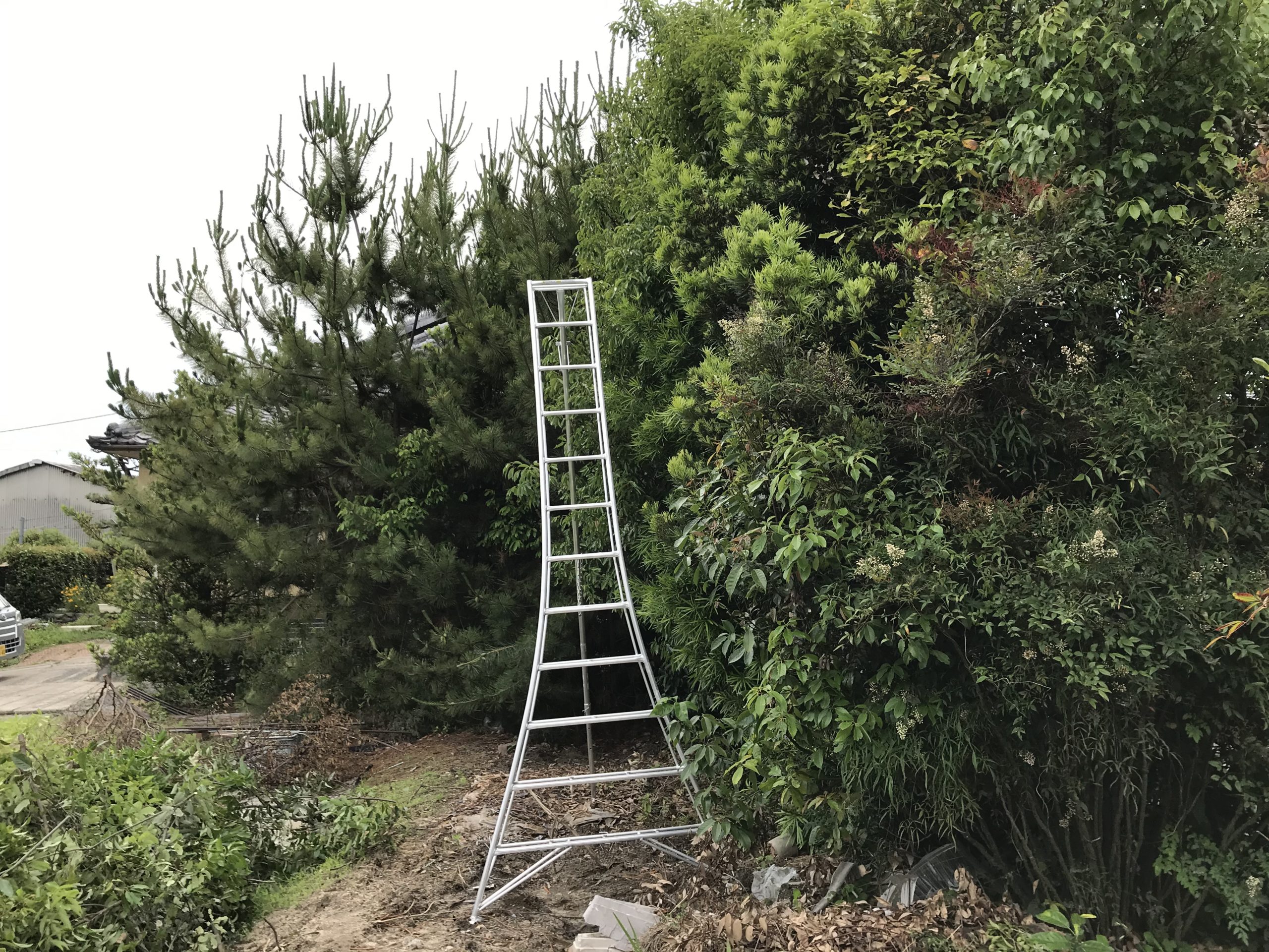 IMG_9796 | 京田辺市・八幡市の造園屋・植木屋